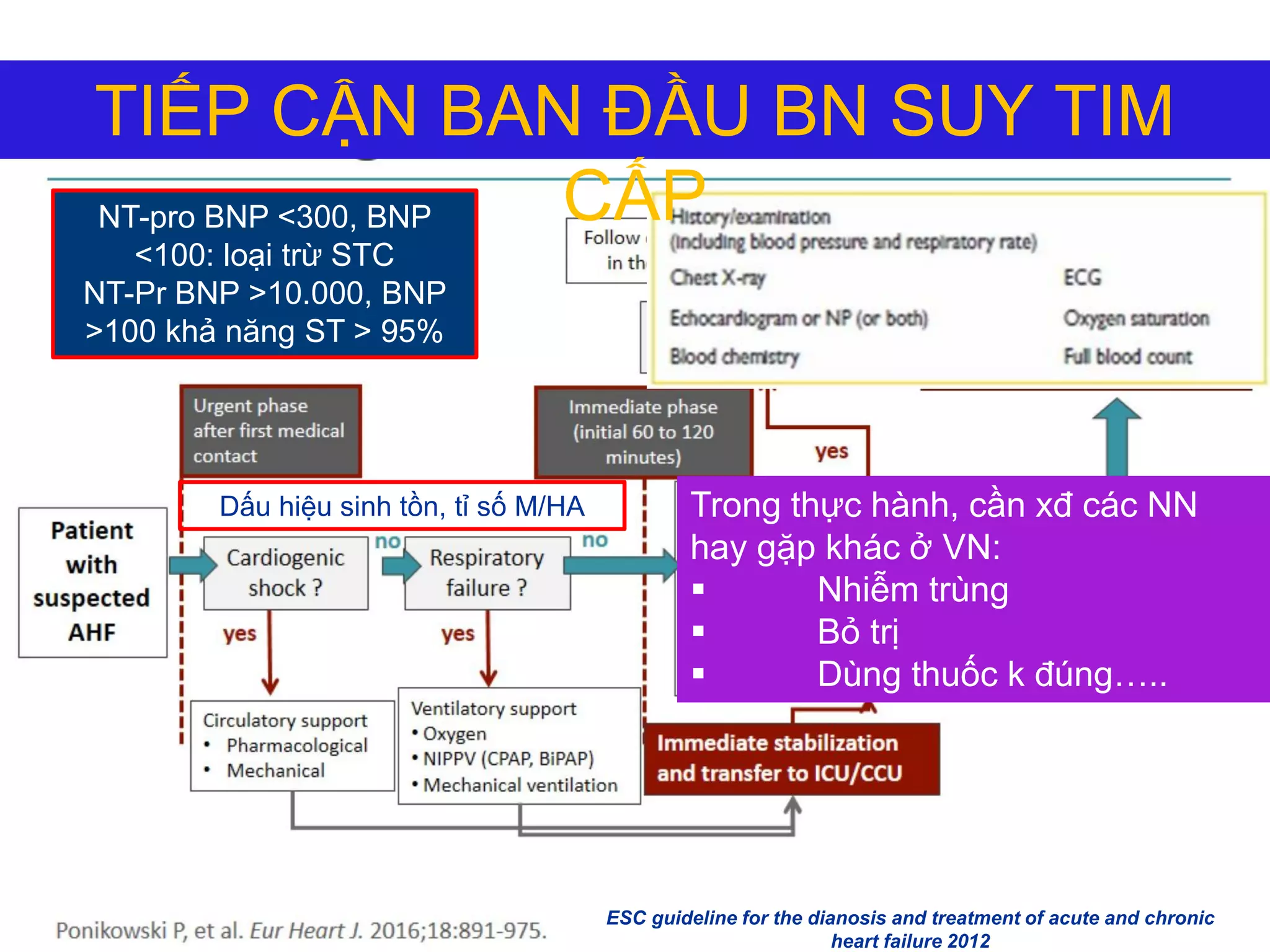 Tiep can chan doan va danh gia benh nhan suy tim cap 2019 | PDF