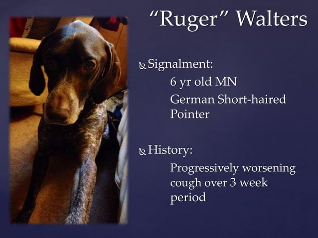 Blastomycosis Grand Rounds | PPTX