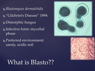 Blastomycosis Grand Rounds | PPTX