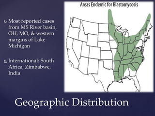 Blastomycosis Grand Rounds | PPTX
