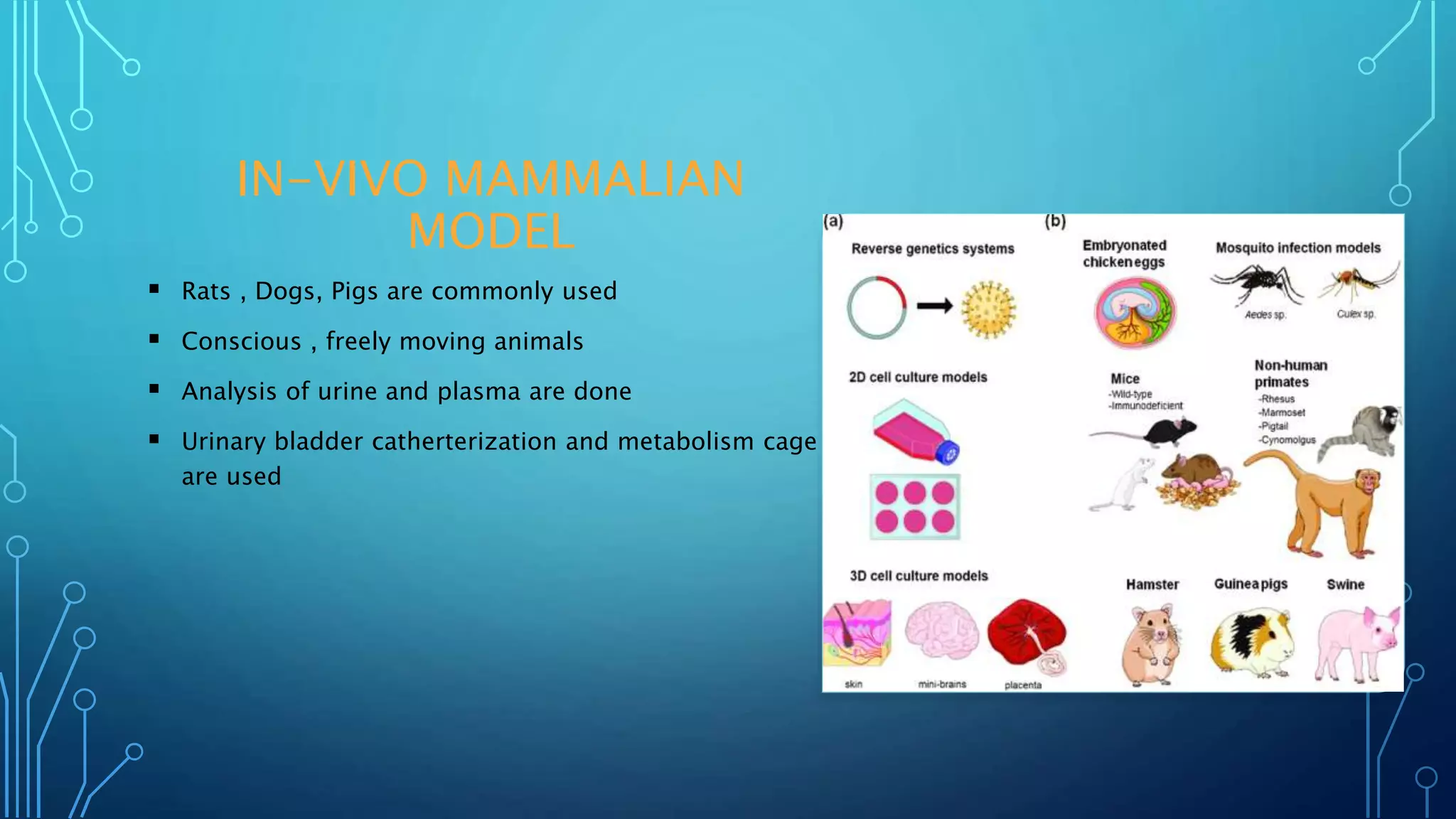 tier 2 study in safety pharmacology.pptx