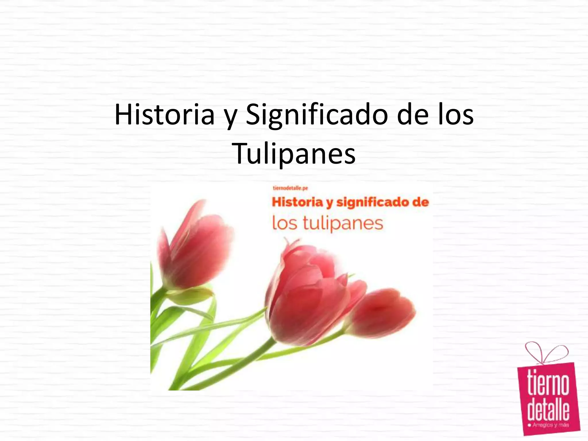 Tierno Detalle | Historia y Significado de los Tulipanes | PPT