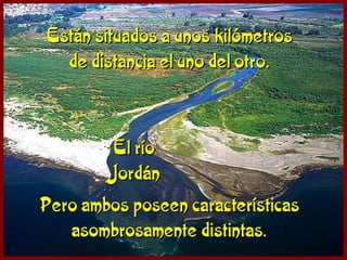 Tierra Santa Menorah | PPT