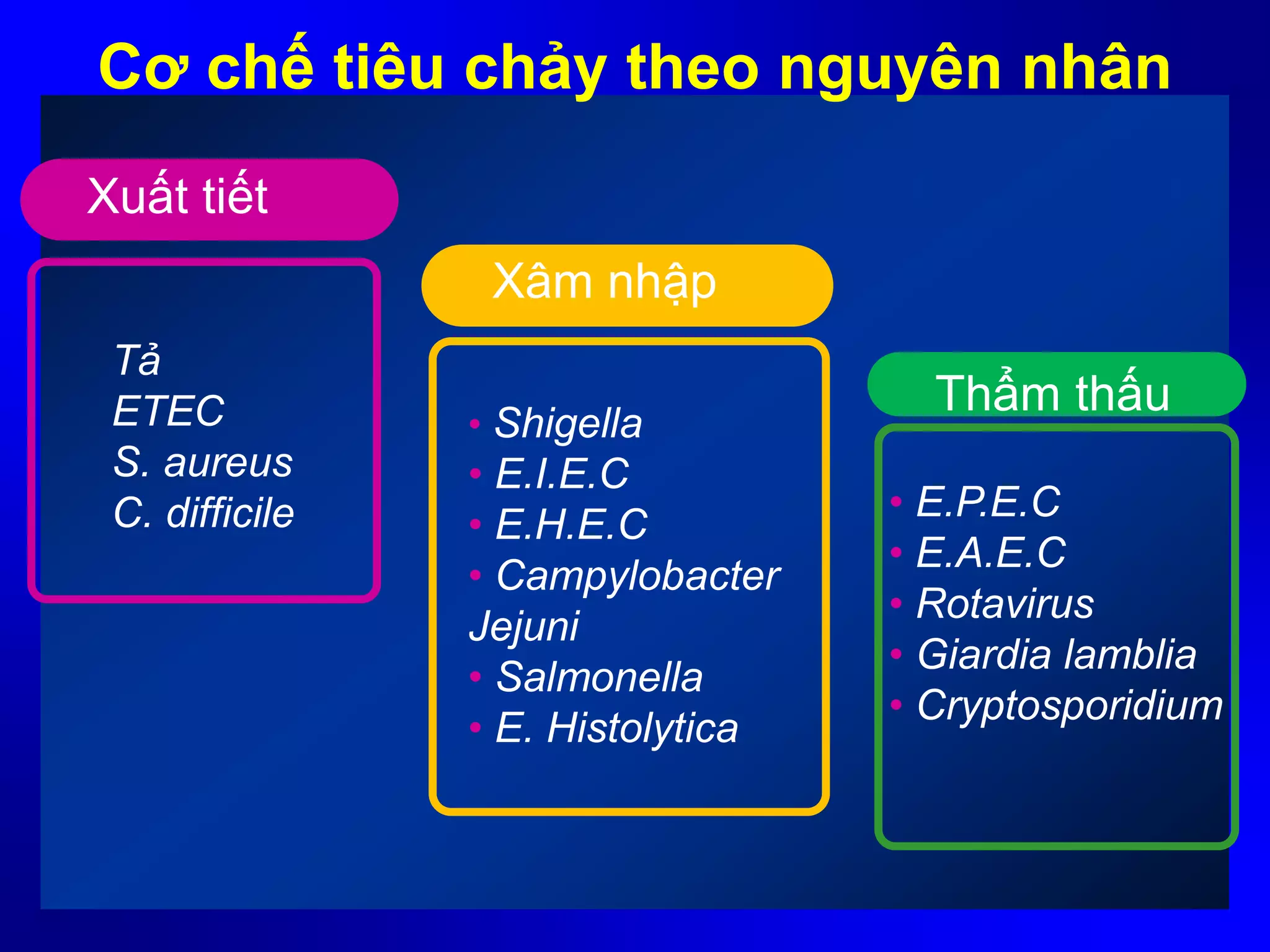 tieu chay cap y4DK Phuong 2020 in.pdf