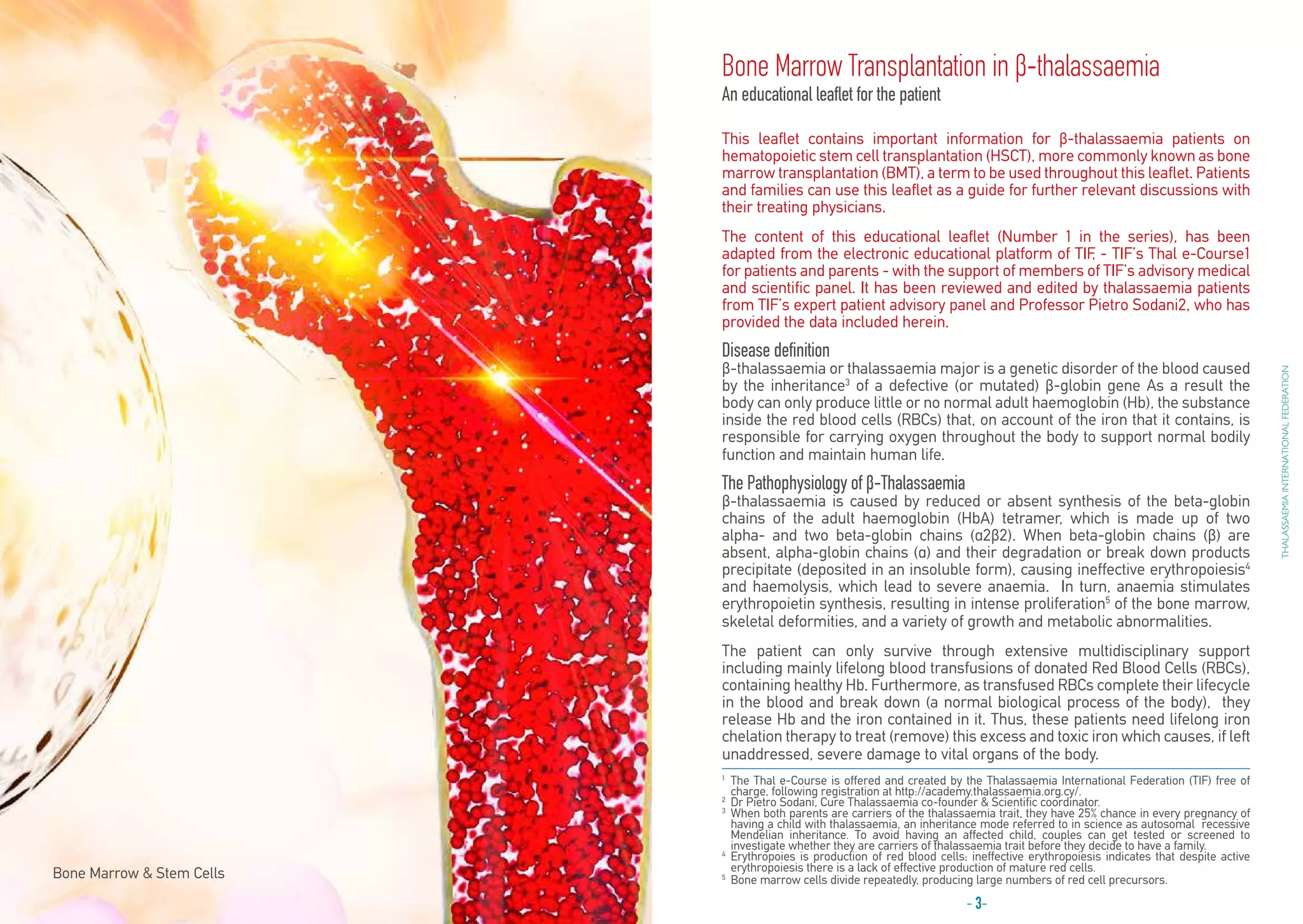 Bone Marrow Transplantation (BMS) in β-Thalassaemia (2018) | PDF
