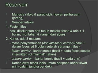 Tifoid | PPT