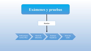 TIFUS_ENFERMEDADES_INMUNE**********.pptx