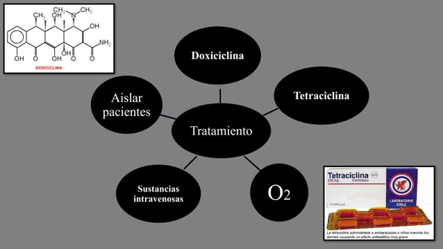 TIFUS_ENFERMEDADES_INMUNE**********.pptx