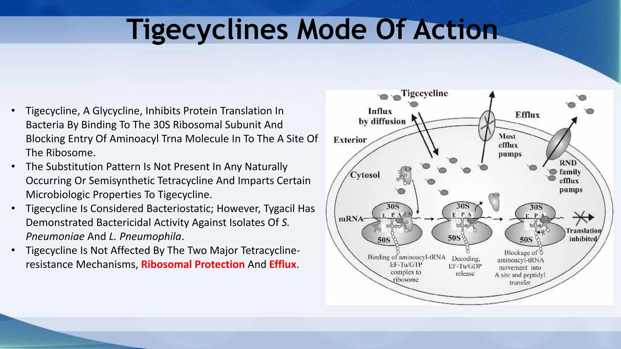 Tigecycline | PPTX