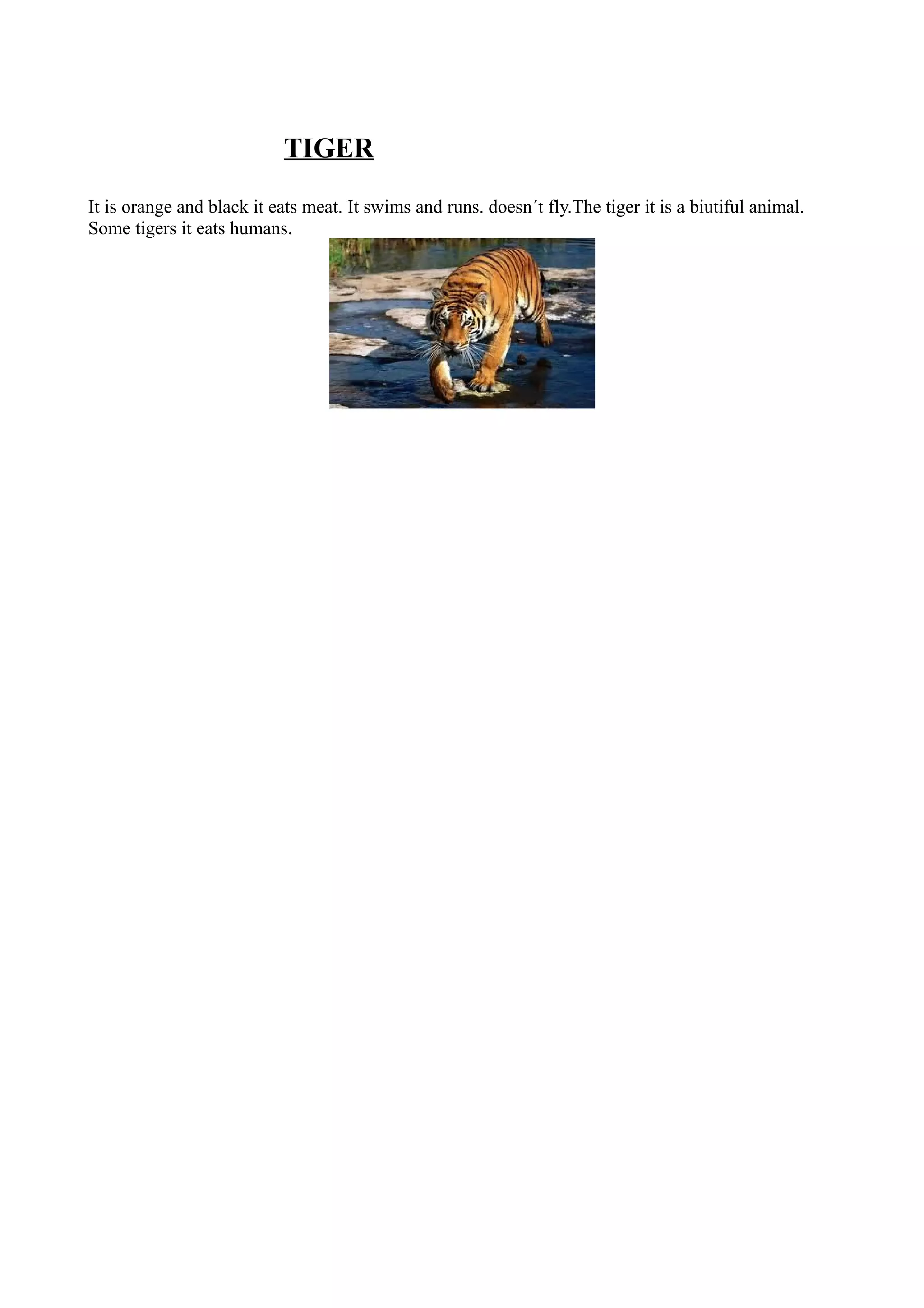 Tiger | PDF
