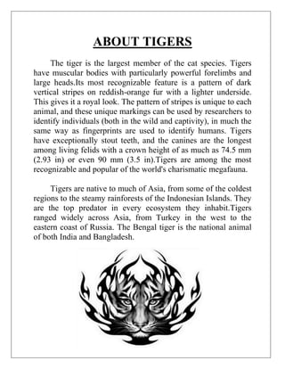 Tiger extinction | DOCX