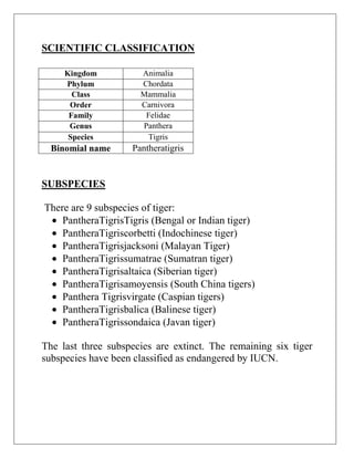 Tiger extinction | DOCX