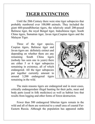 Tiger extinction | DOCX