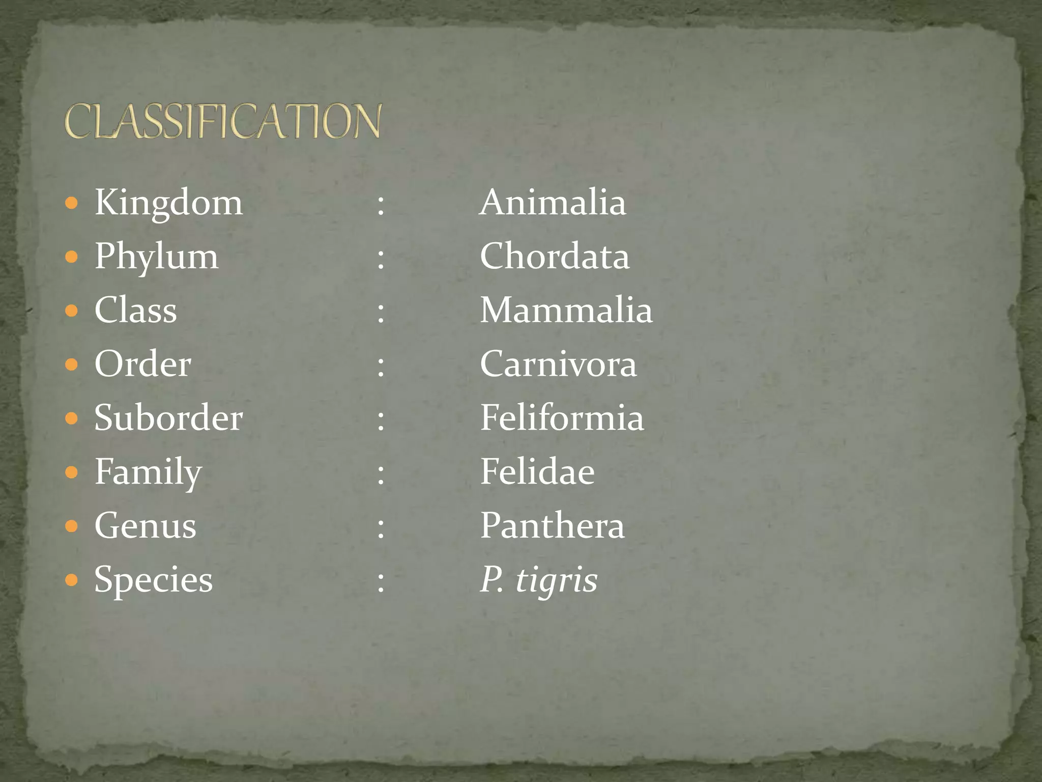 Tiger Conservation | PPTX