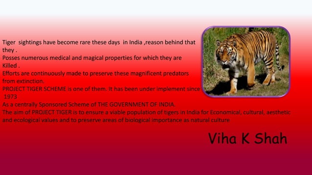 Tiger.pptx