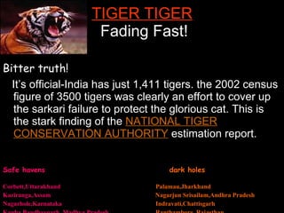 save the tiger! | PPT
