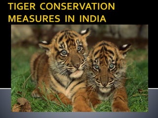 Tiger conservation measures in india | PPTX