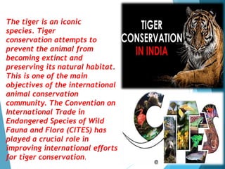 INTERNATIONAL TIGER DAY BY RAYAN PRAMANICK FROM BIRLA GYAN MANDIR | PPTX