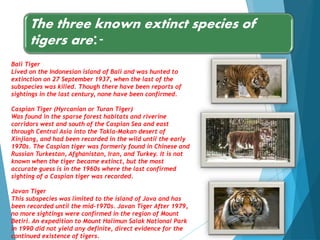 INTERNATIONAL TIGER DAY BY RAYAN PRAMANICK FROM BIRLA GYAN MANDIR | PPTX