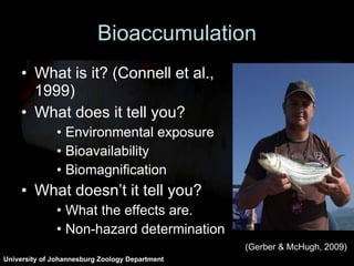 Tigerfish Powerpoint Presentation Honours | PPT