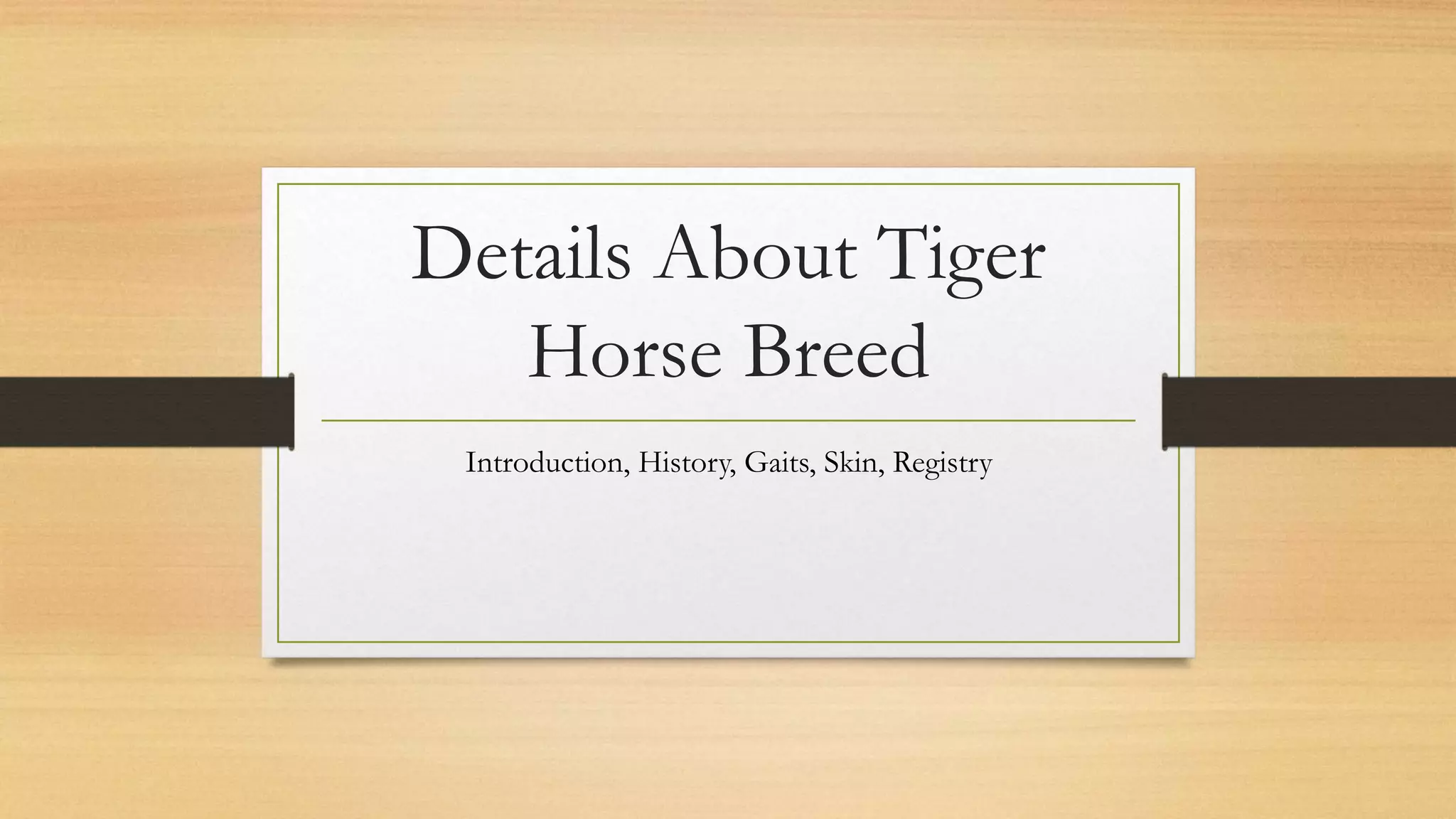 Tiger Horse Breed Registry Details | PPTX
