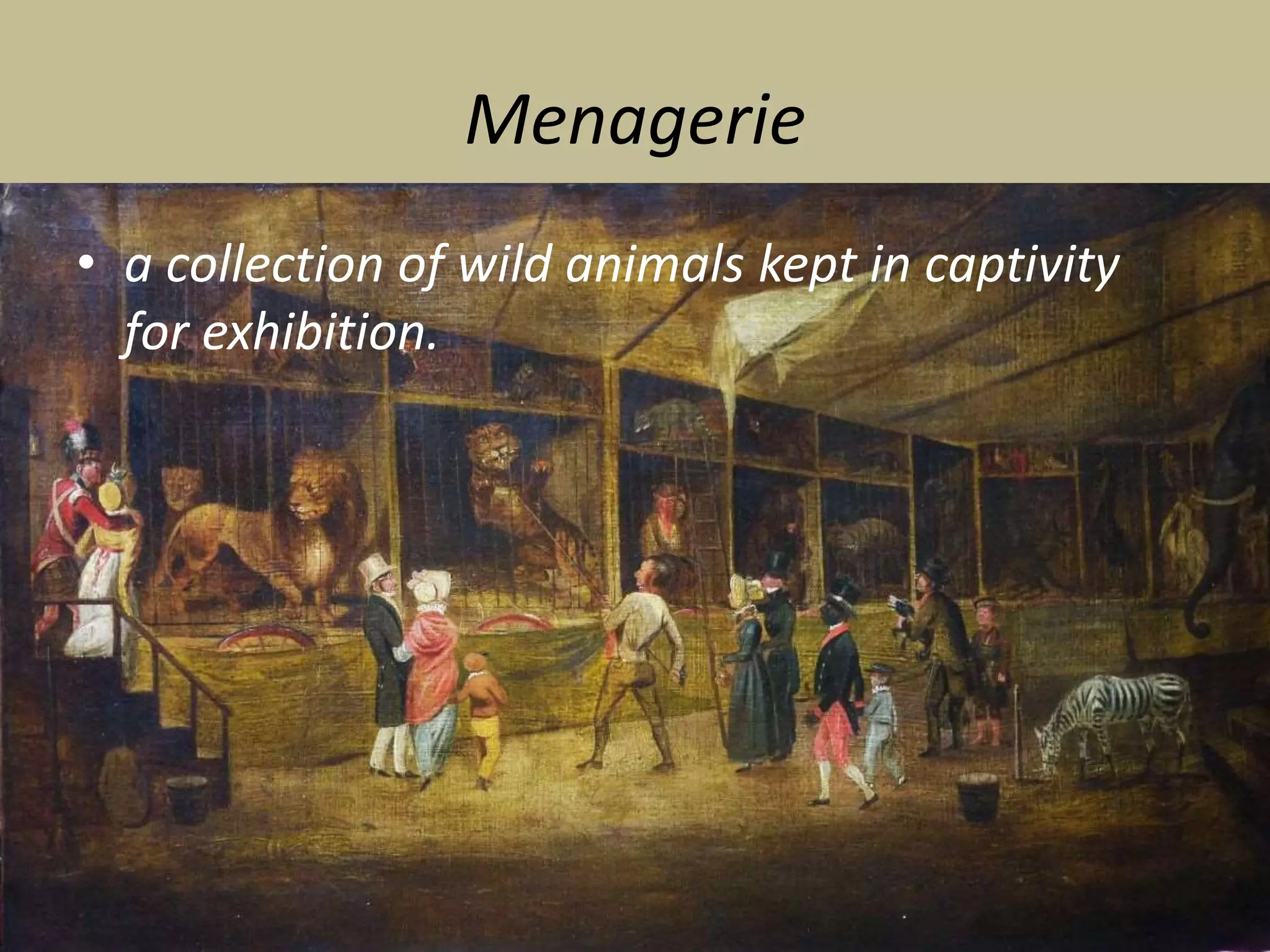 Tiger in the menagerie | PPTX