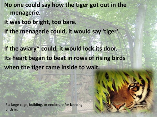 Tiger in the menagerie | PPTX | Zoos & Aquariums | Attractions