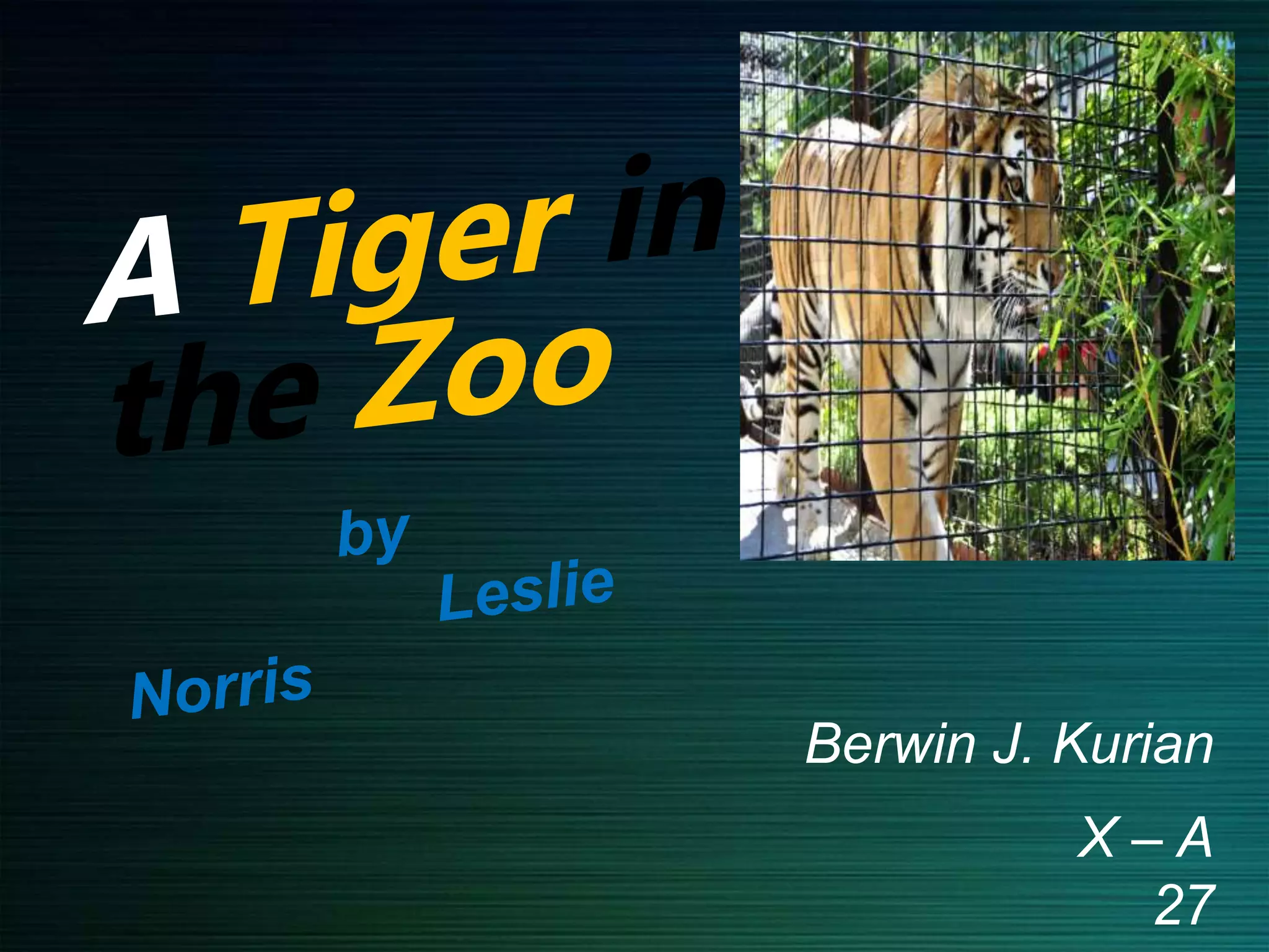 TIGER IN THE ZOO.pptx