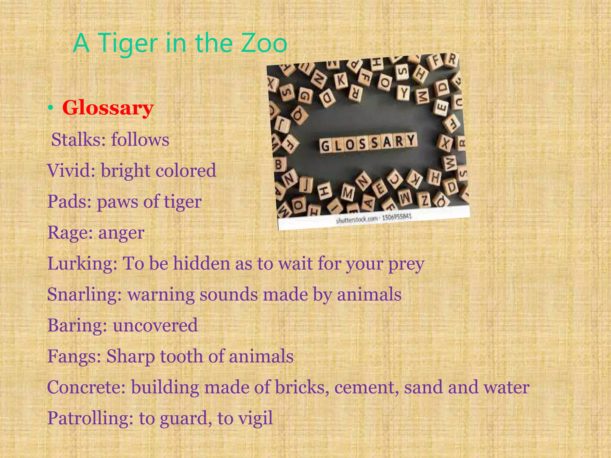 TIGER IN THE ZOO.pptx