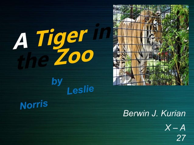 TIGER IN THE ZOO.pptx