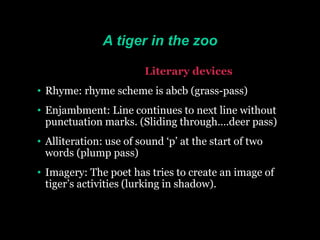 TIGER IN THE ZOO.pptx
