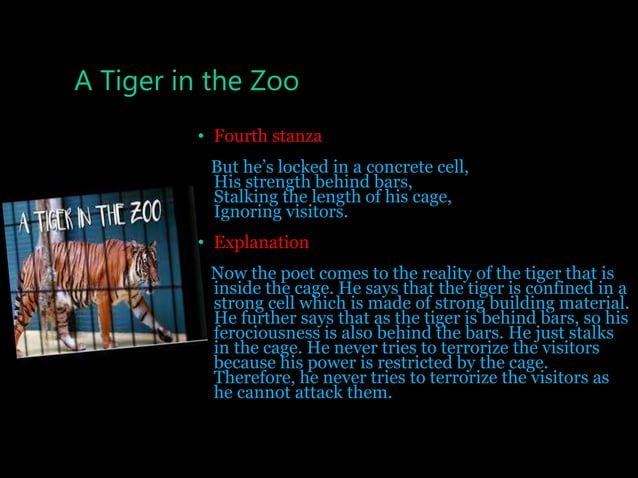 TIGER IN THE ZOO.pptx