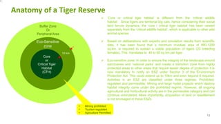 Tiger myth and mystery - Tiger Reserves of India | PDF