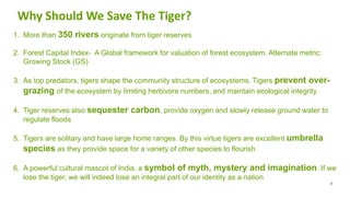 Tiger myth and mystery - Tiger Reserves of India | PDF