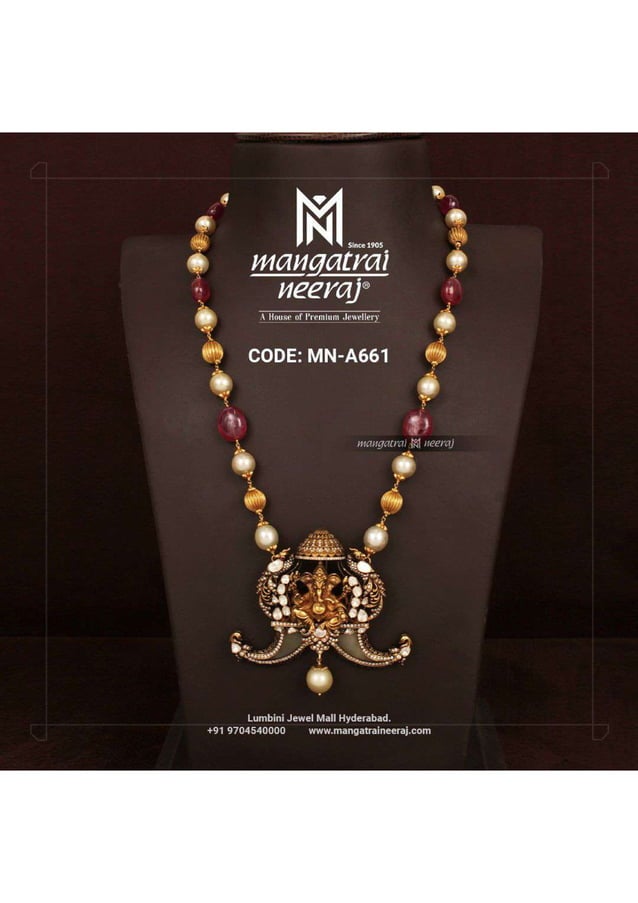 Tiger Nail Locket Long Chain for Men | PDF