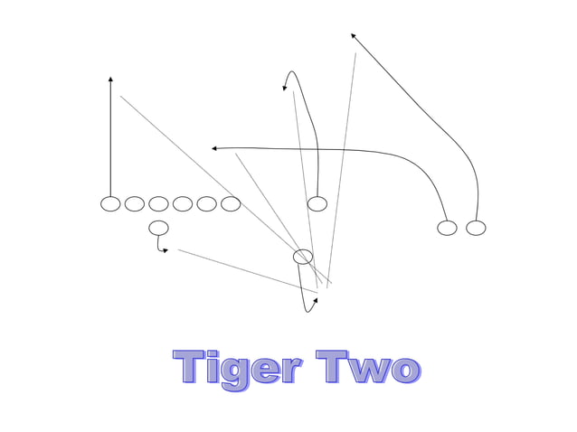 Tiger Polecat Formation | PPT