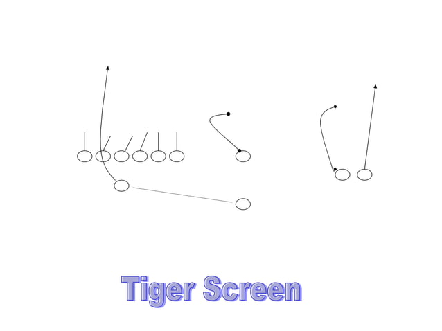 Tiger Polecat Formation | PPT