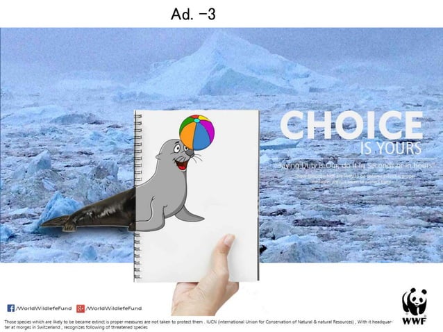 WWF Animal Conservation Presentation | PPT