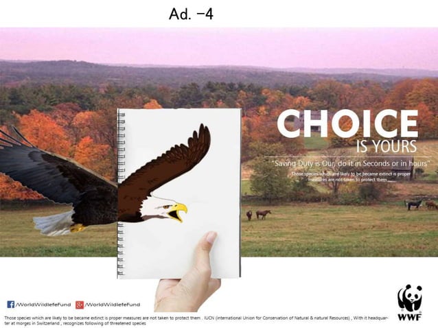 WWF Animal Conservation Presentation | PPT