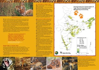 Tiger project | PDF