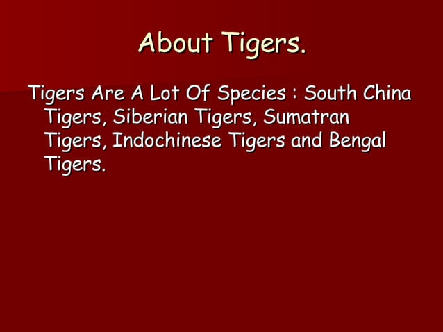 TIGERS | PPT