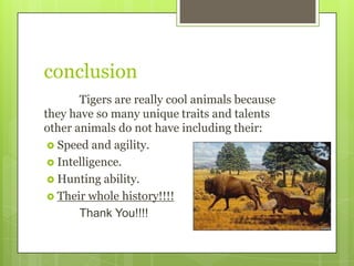 Tigers!!! | PPTX