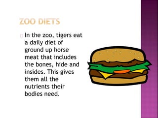TIGERS OUR NATIONAL ANIMAL | PPTX