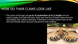 tigers.pptx