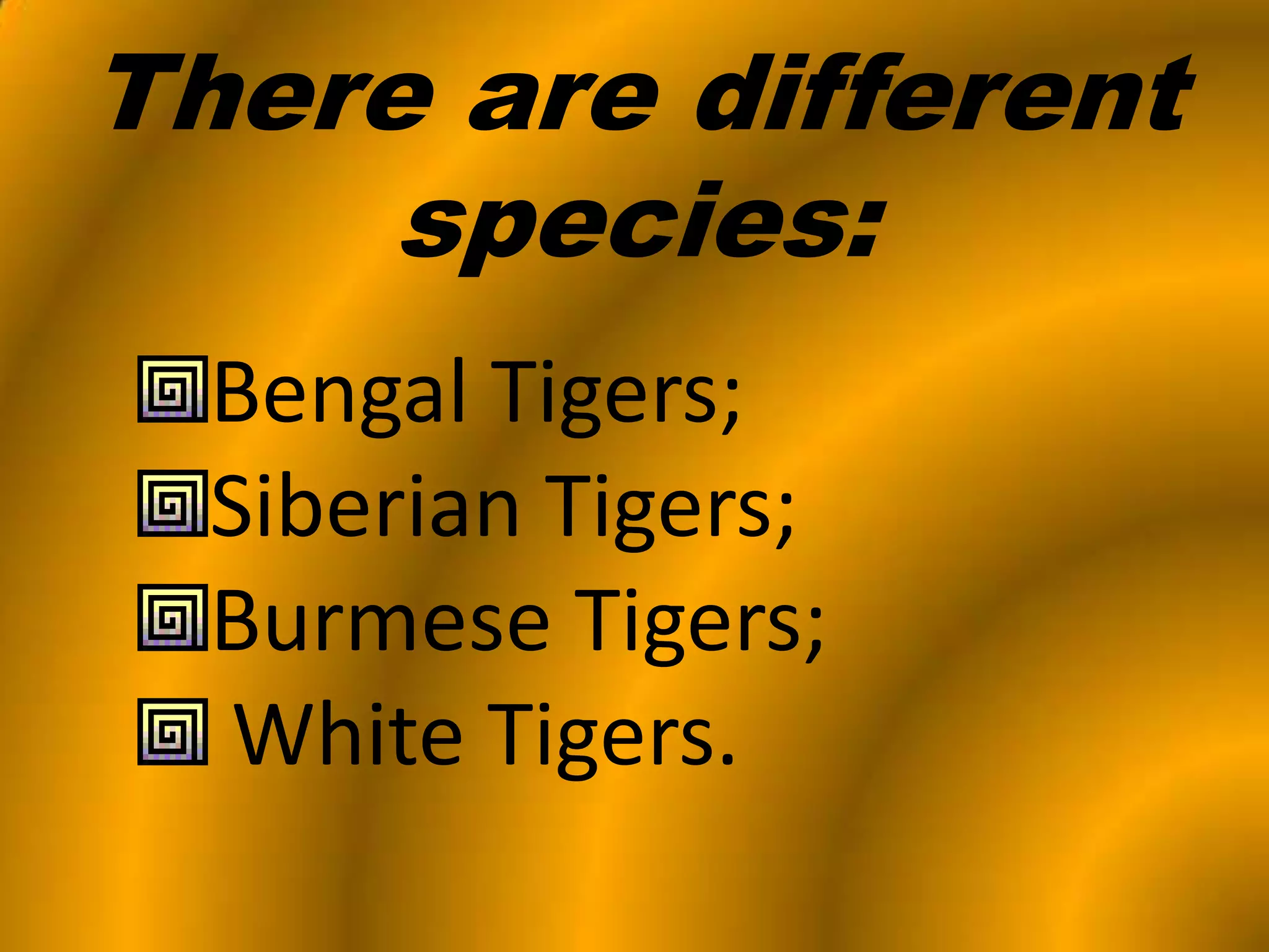 Tigers powerpoint | PPTX