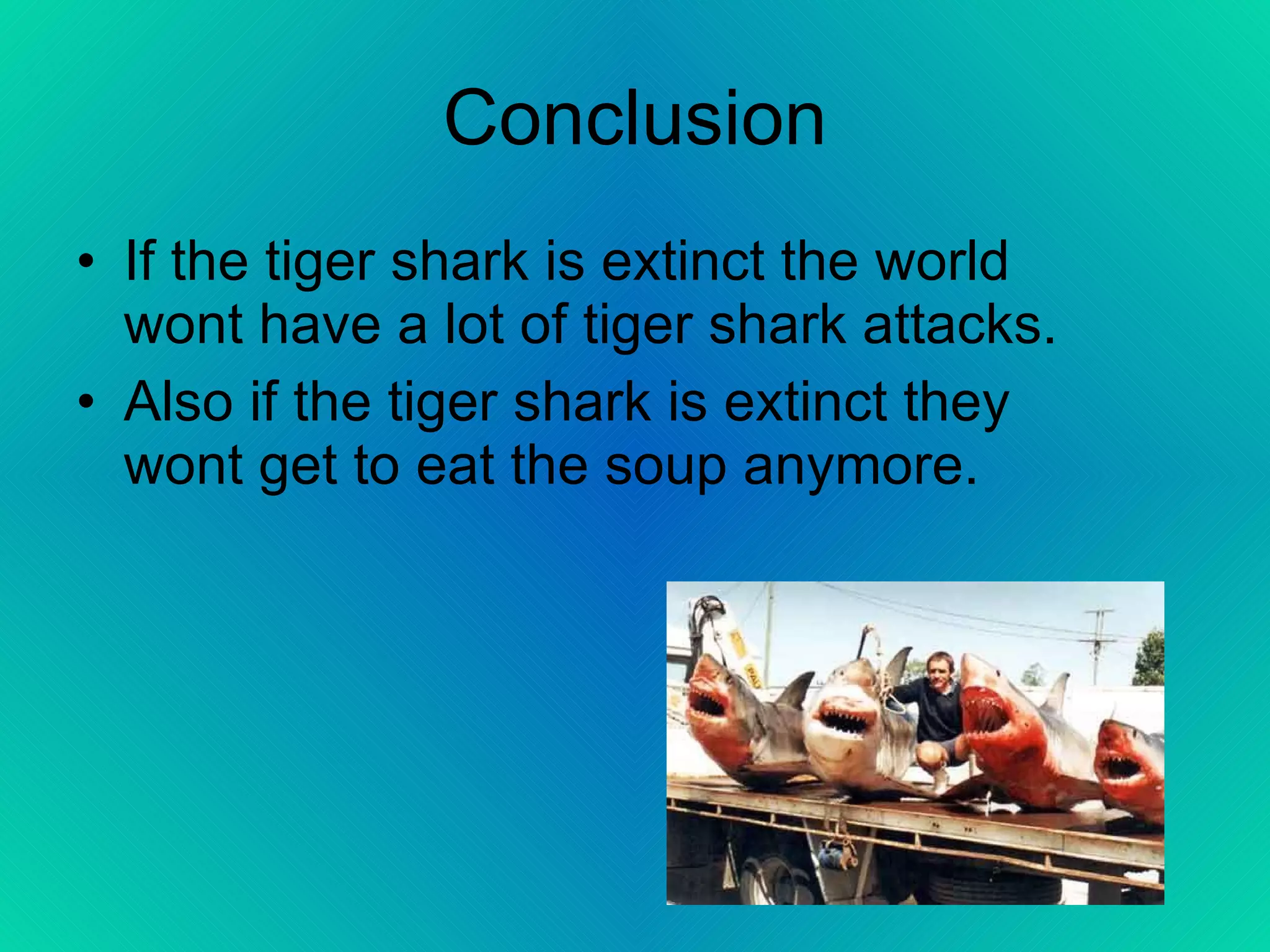 Tiger sharks | PPT
