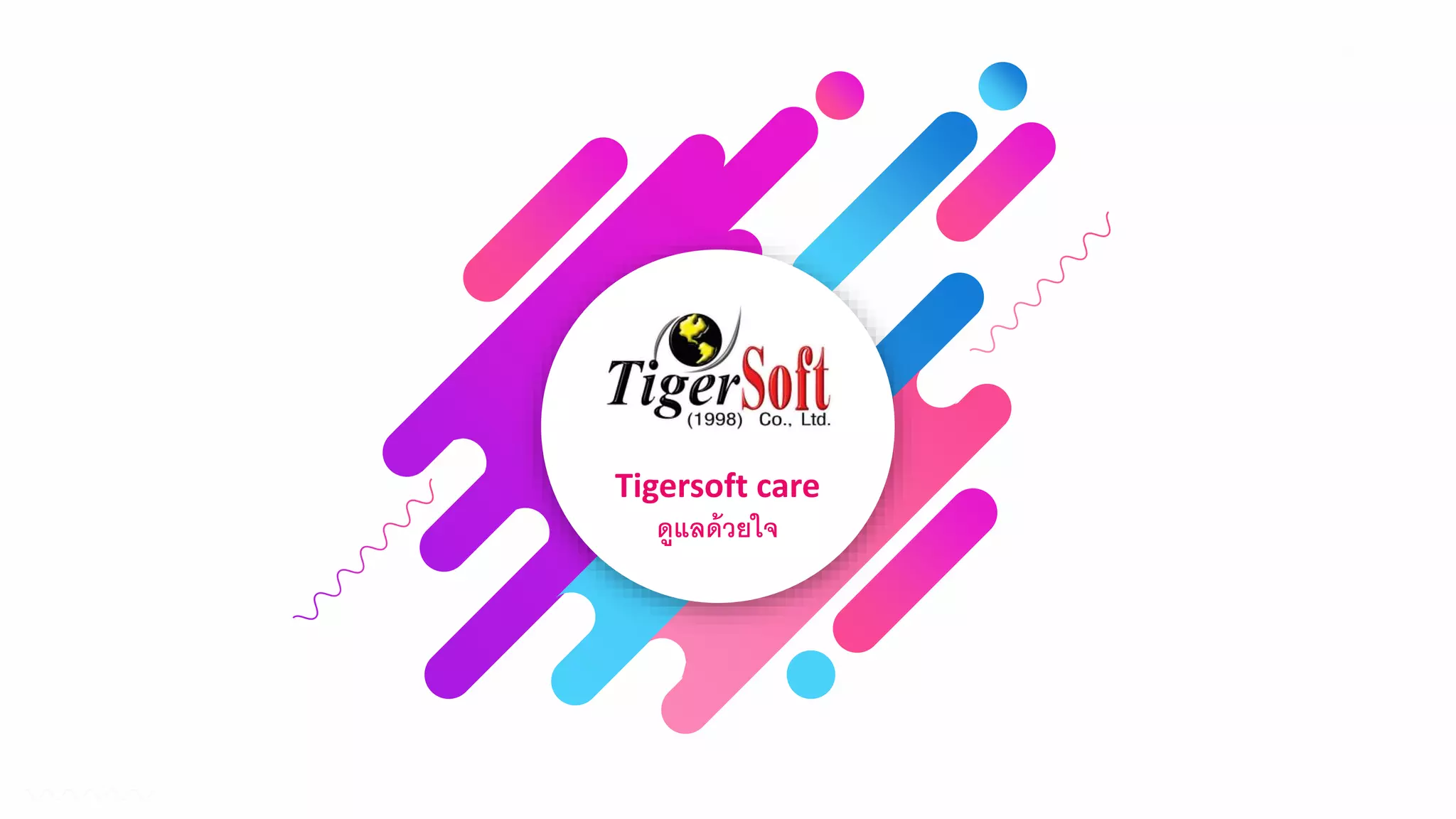 Tigersoft care project | PPT