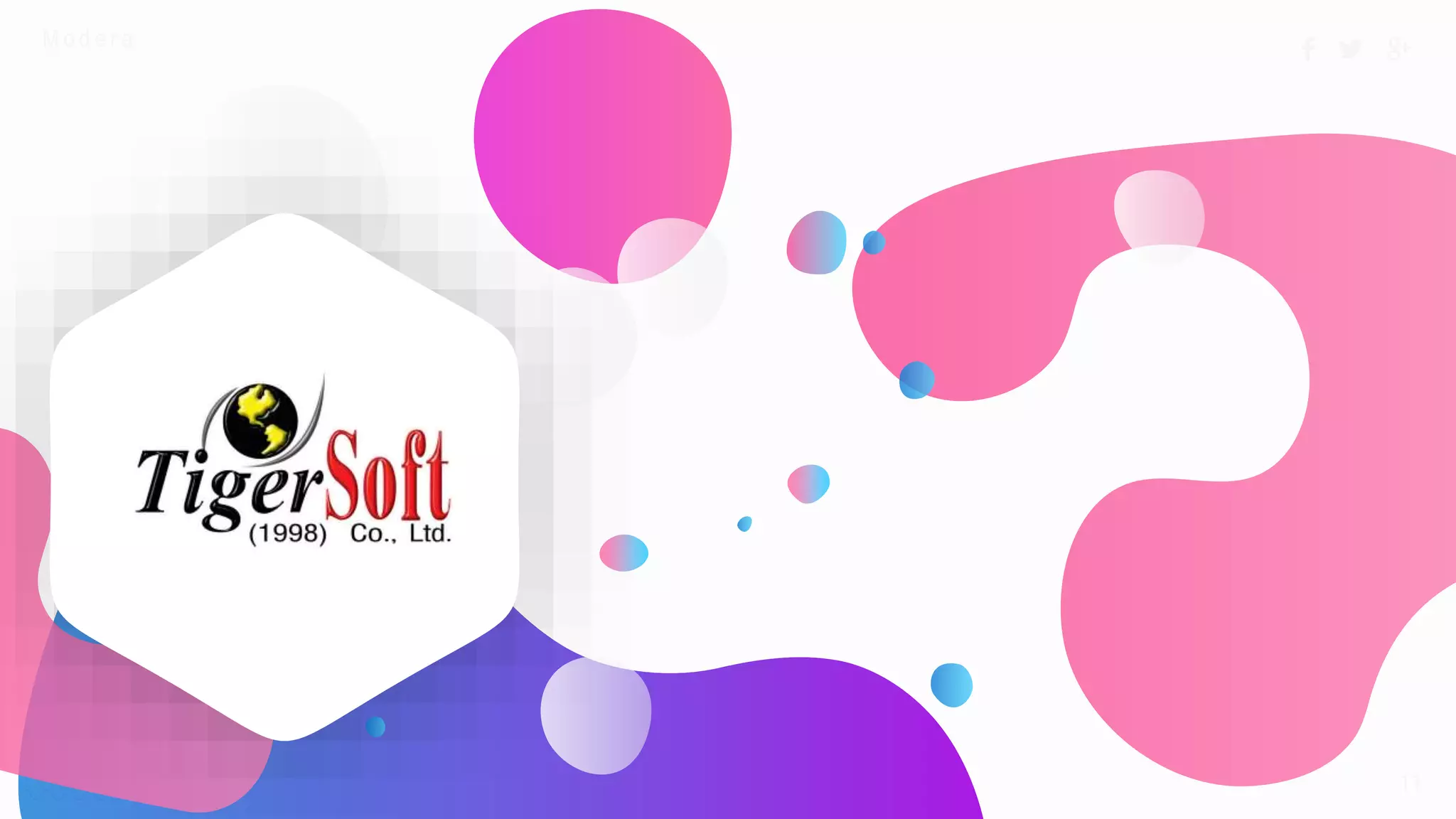 Tigersoft care project | PPT