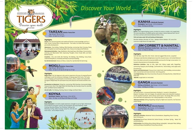 Tigers summer camp 2013 brochure | PDF