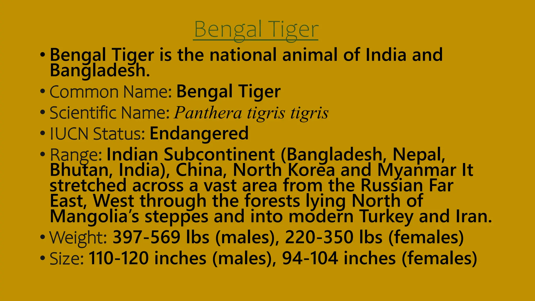 Tiger-Subspecies Postgraduate candidates | PPTX